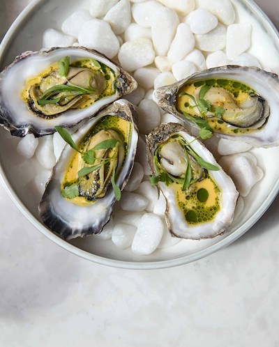 Menus | Dining in Auckland, New Zealand | Trivet